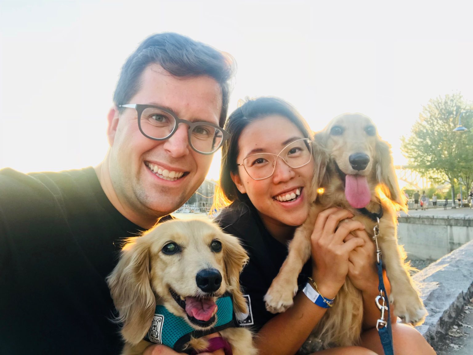 Barb's Marshmallow Popcorn Chocolate Chip Cookies Recipe - The ...