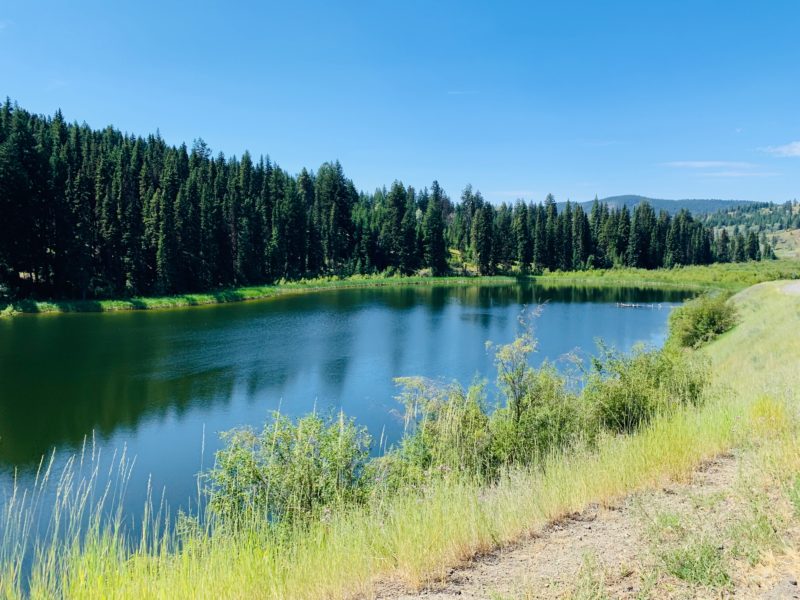 Hiking at Kentucky-Alleyne Provincial Park - The Lifestyle Of Us
