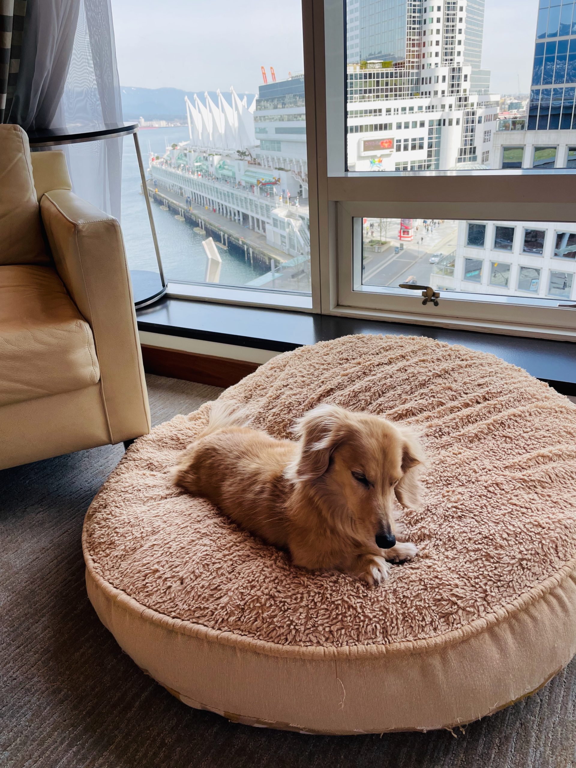 Babymoon in Vancouver BC: Our Stay at Fairmont Pacific Rim - The ...